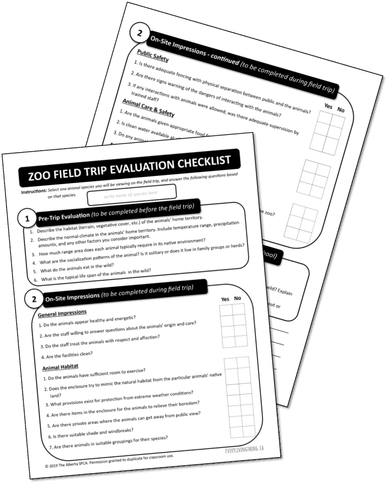 Zoo Field Trips - everylivingthing