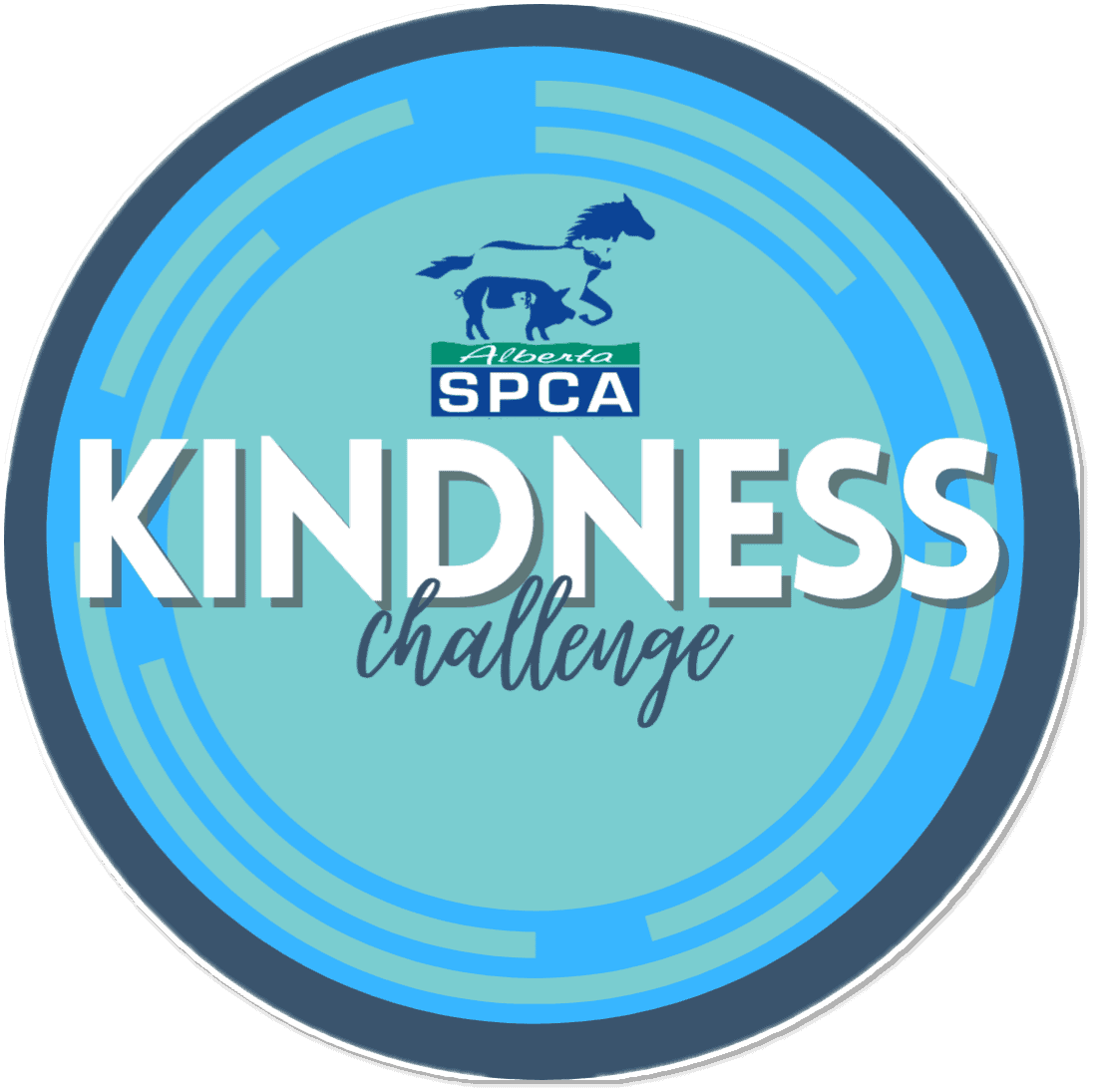 Kindness Challenge - everylivingthing