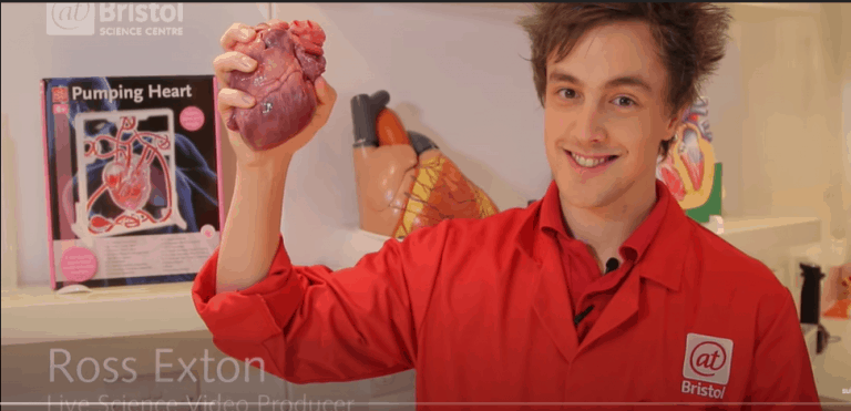 Online Dissection Simulations - everylivingthing