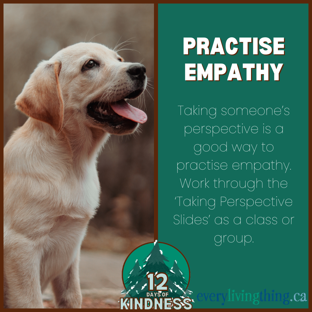 12 Days of Kindness - everylivingthing